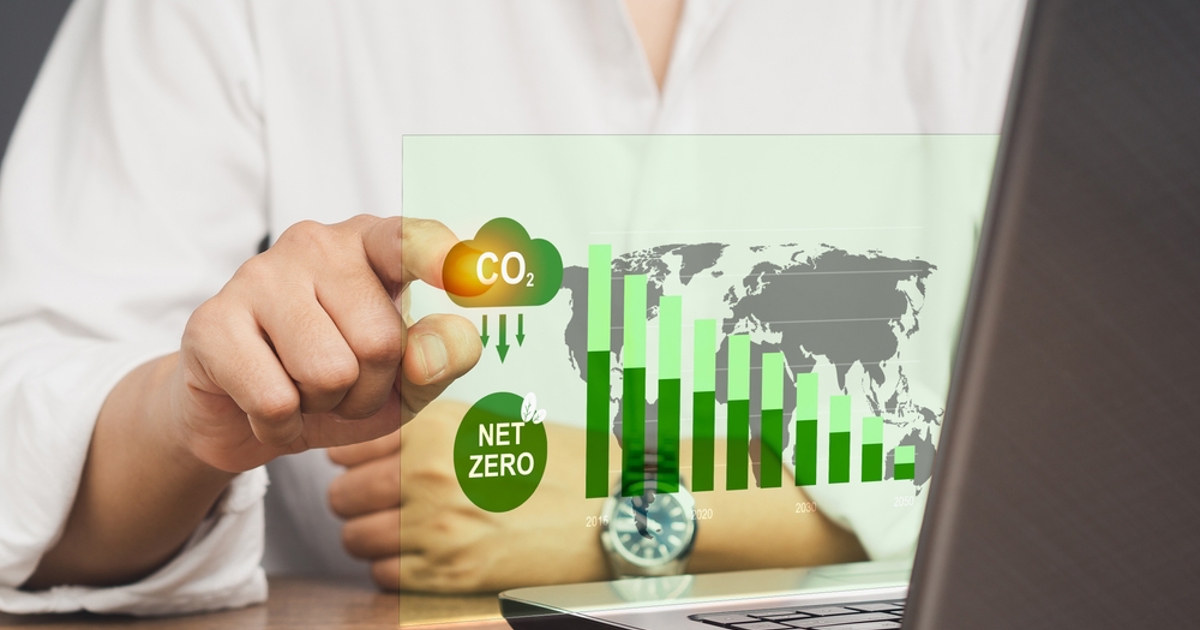 Net zero pathways