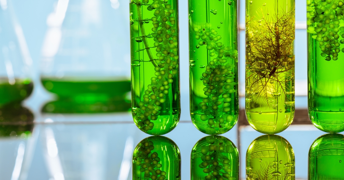 Fuels and Poison Centre Notifications: understanding requirements