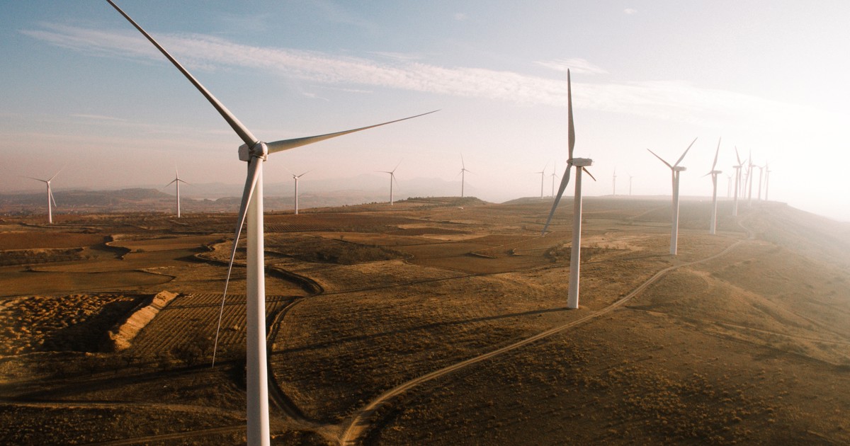 Independent Verifier for OECD's Blue Dot Network