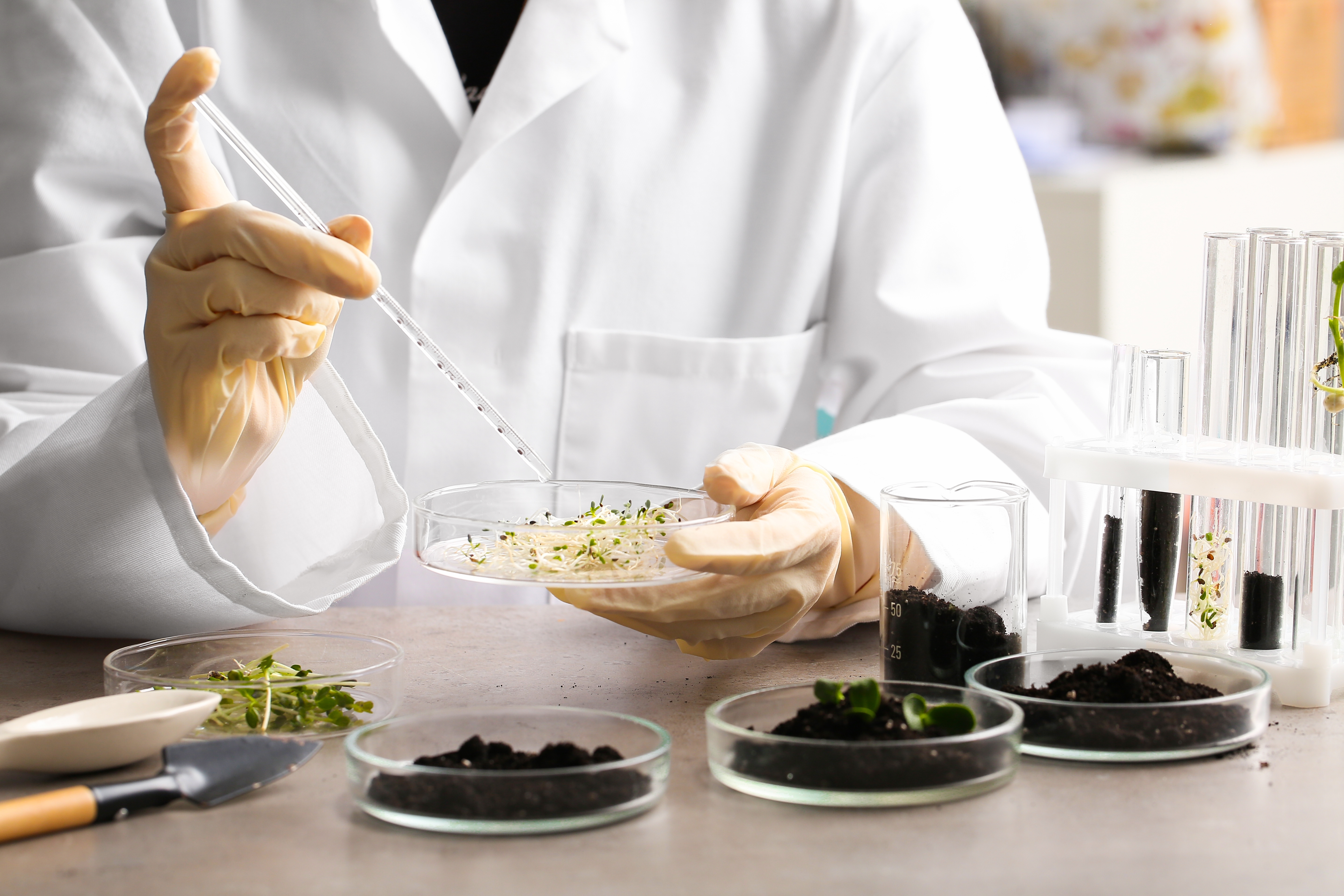 Chemsafe: our national role