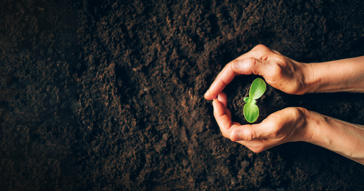 Bioenergy Carbon Capture Utilisation & Storage, and Biochar ...